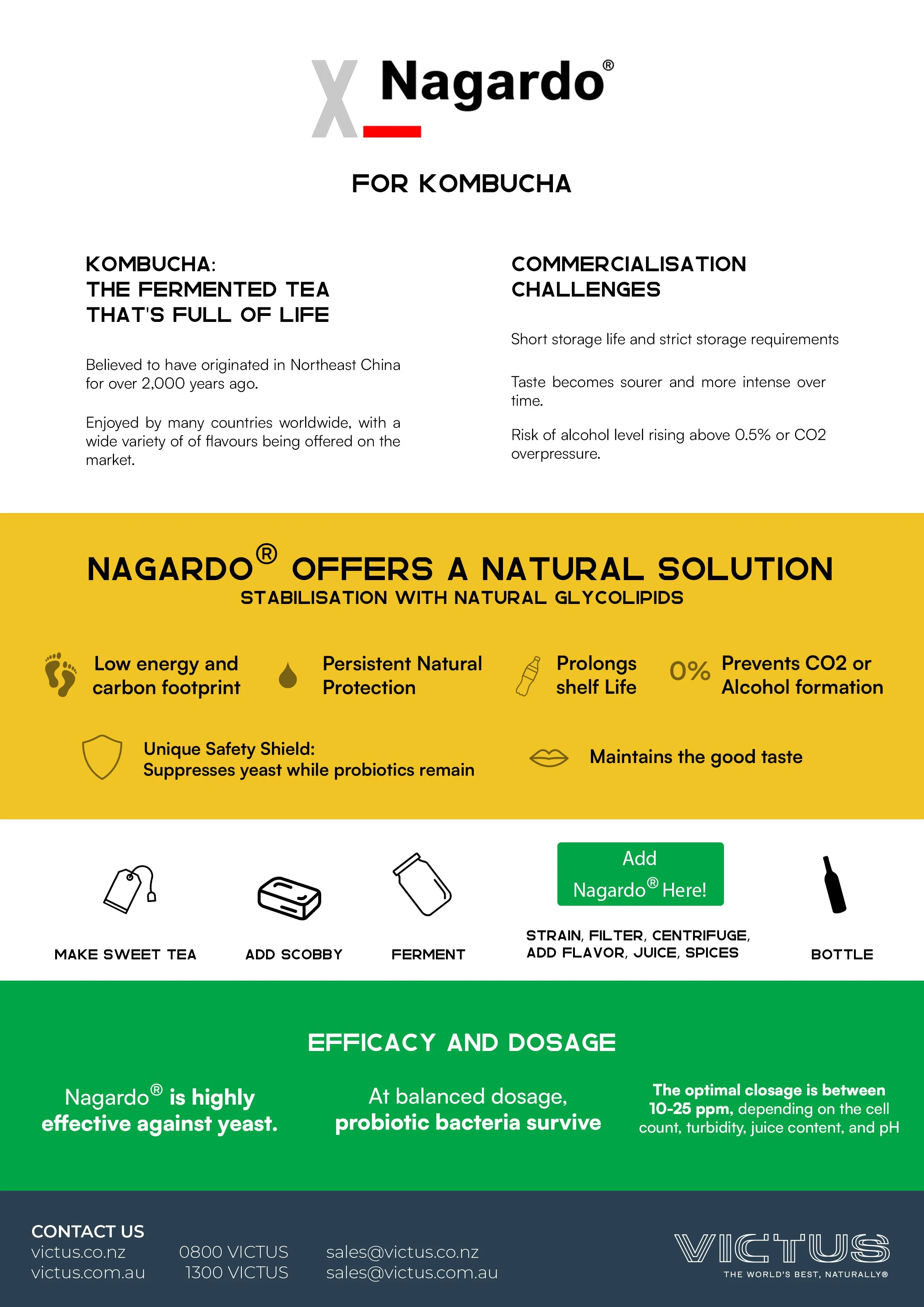 Showcase - Nagardo Kombucha — Drinksbiz Magazine — New Zealand's ...