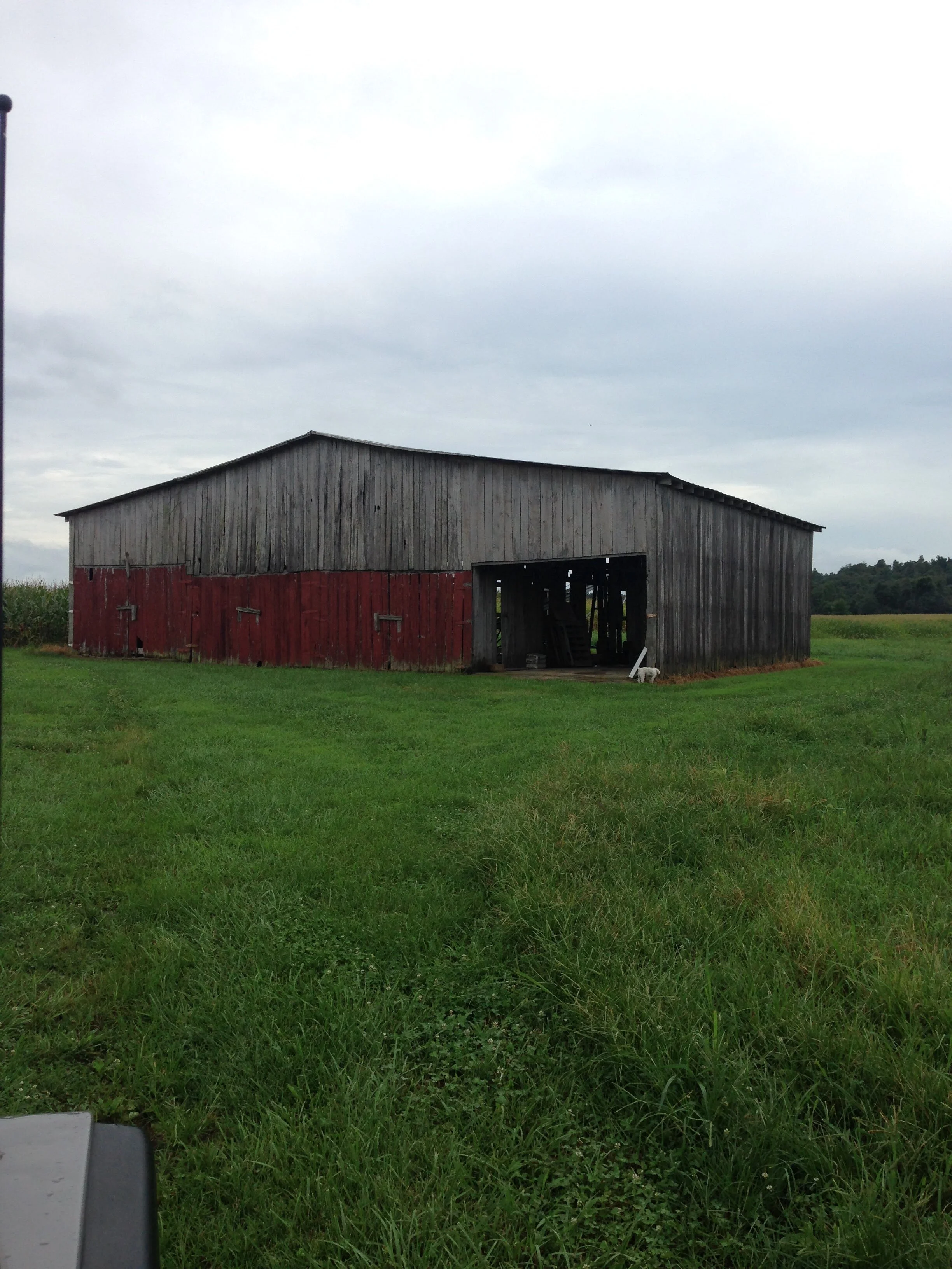 The Barn — Laurel Creek Farms