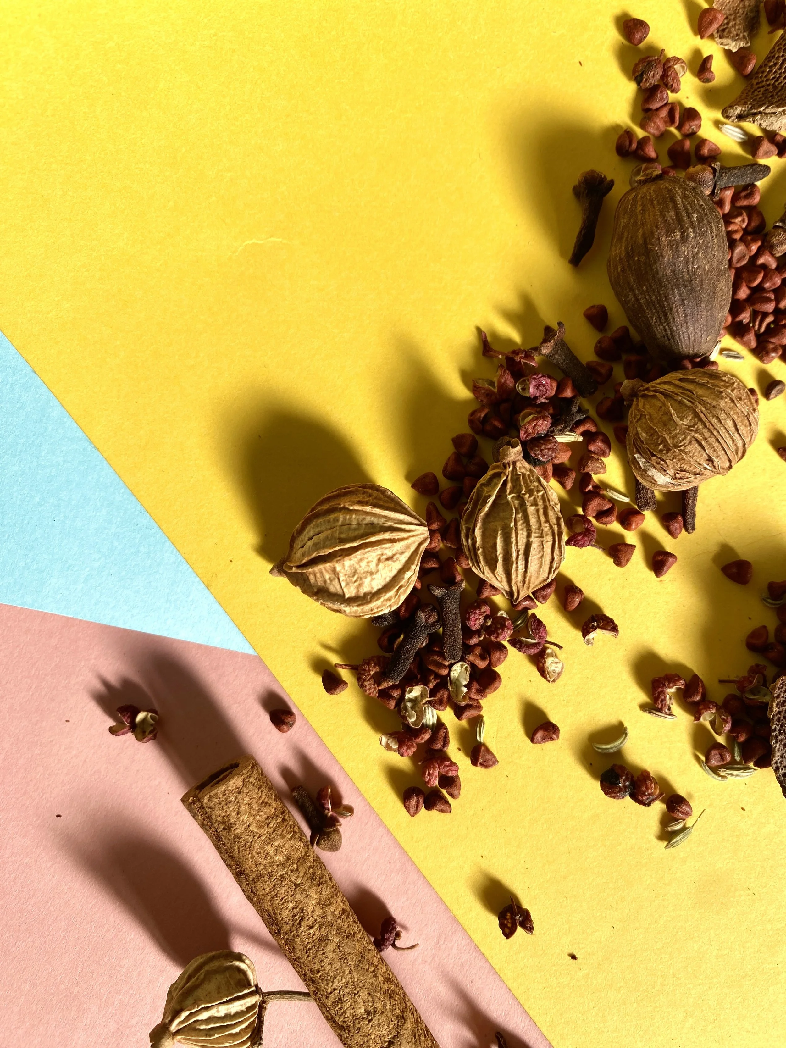 Autumn Forage: Beginners Mushroom Hunting — SALT GANG