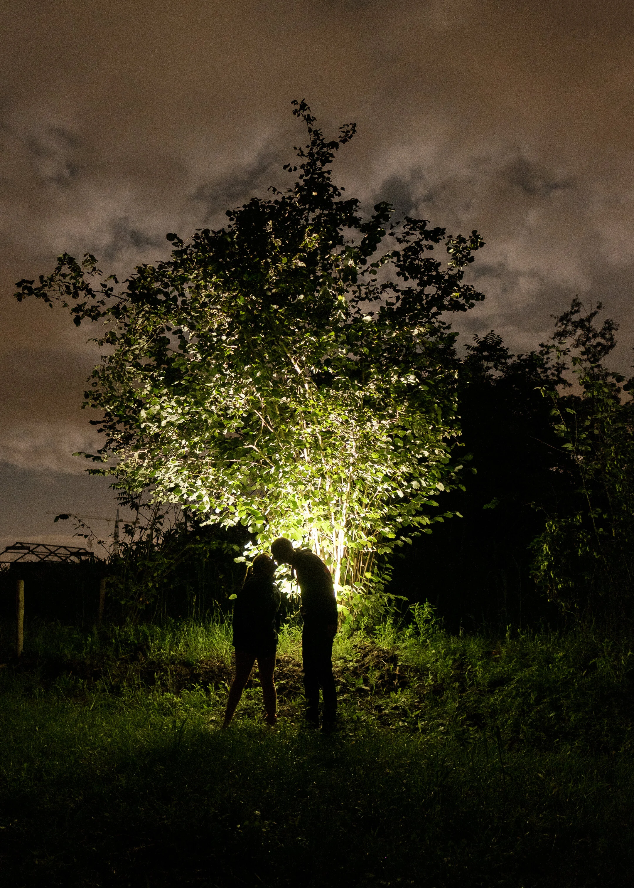 Geregistreerd partnerschap — JASPER WHITE