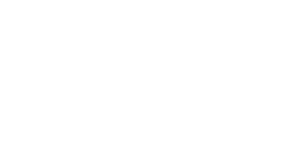 Country Vet Pet Food
