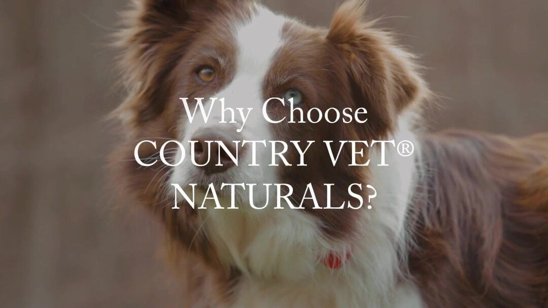 Country Vet Pet Food