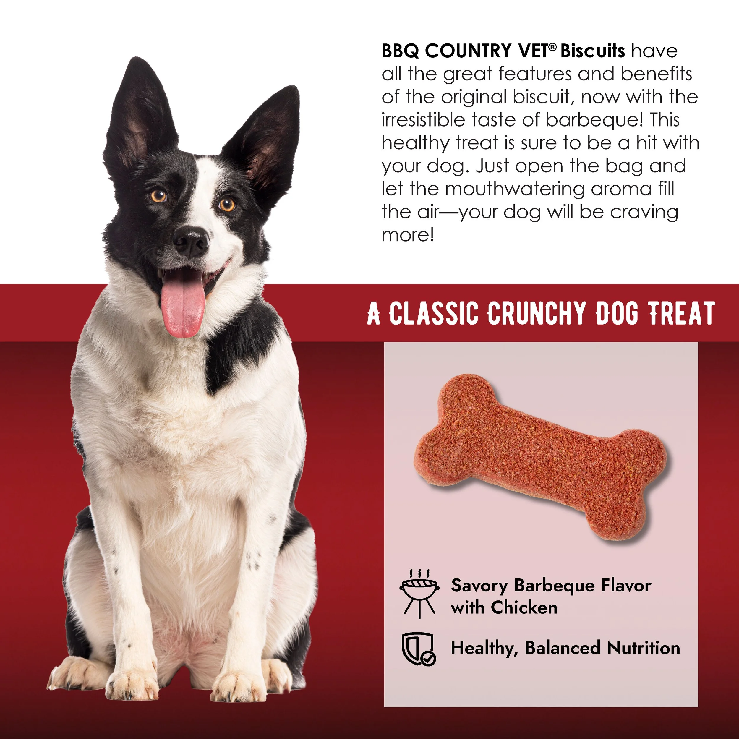 Dog Treats — Country Vet Pet Food