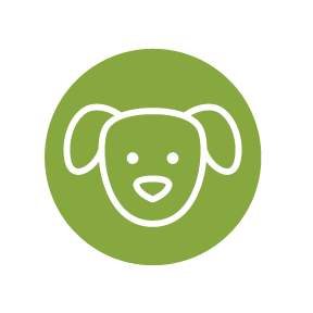 Country Vet Pet Food