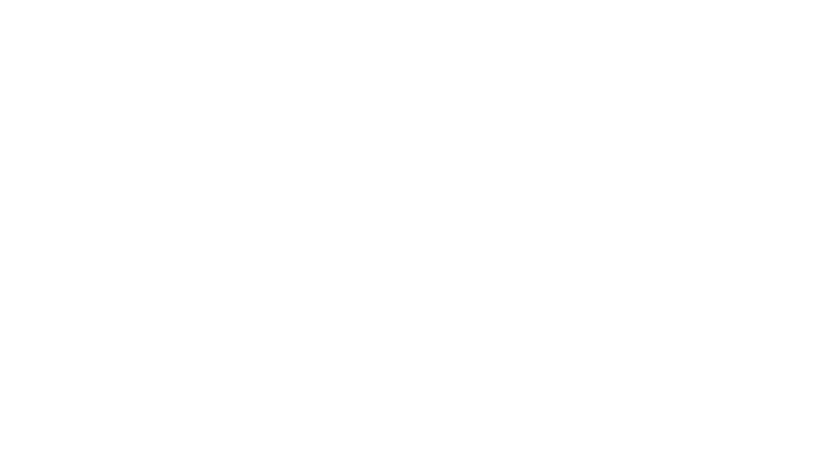 Country Vet Original Meaty Flavored Dog Treat — Country Vet Pet Food