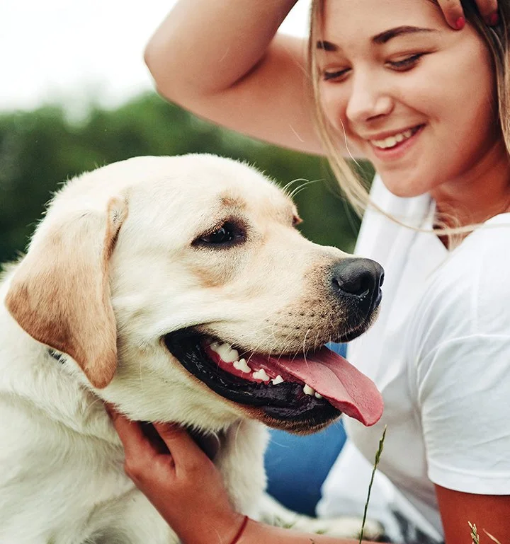 Country Vet Dog Food — Country Vet Pet Food