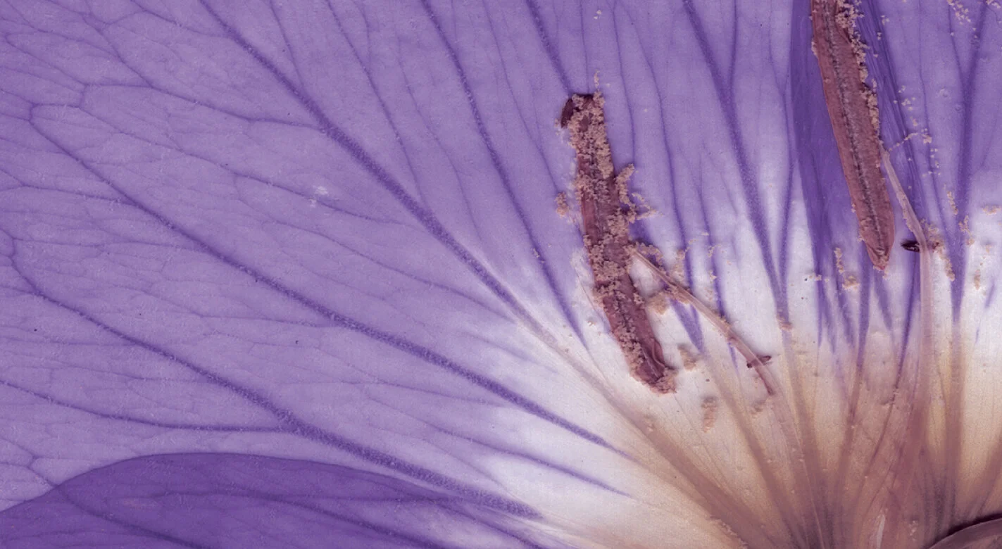 Nurture Neuroscience