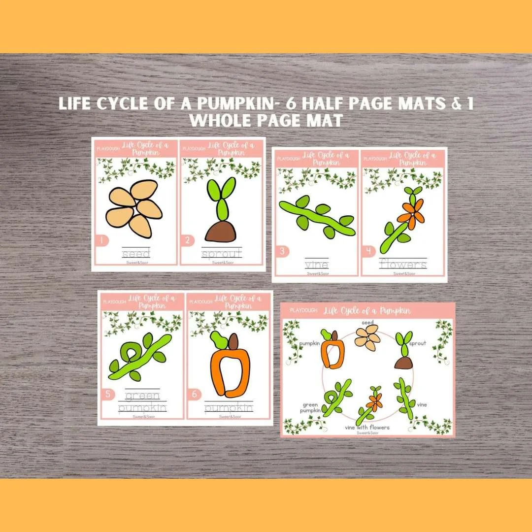10 Pumpkin Life Cycle Activities: Hands-On Art Ideas for Homeschooling ...