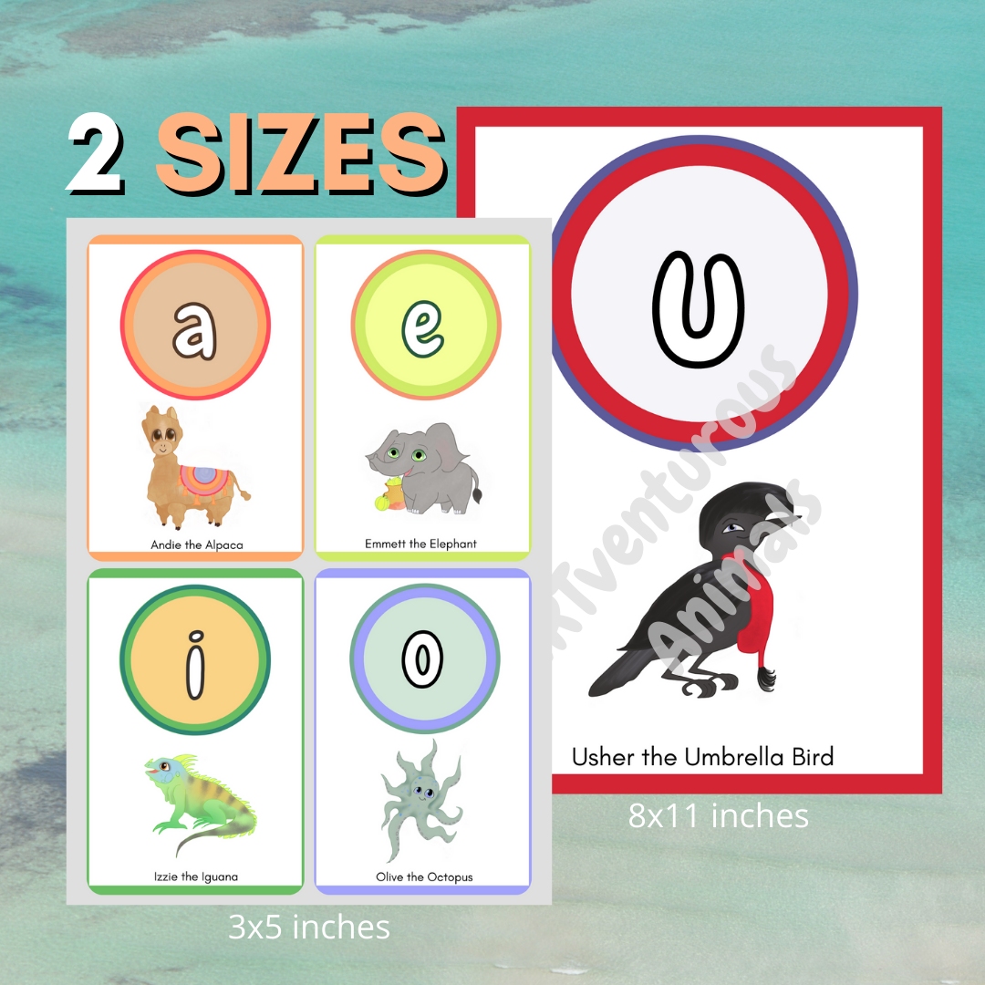 Short and Long Vowel Flashcards - Phonics Review and Letter Recognition ...