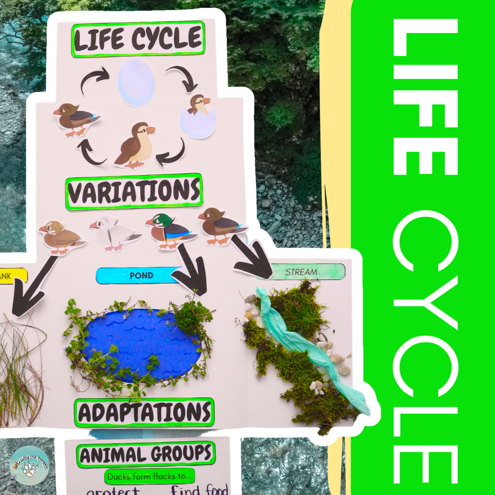 Animal Ecosystem Project