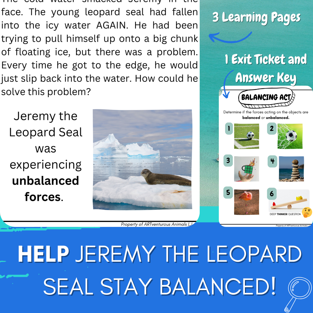 Patterns of Motion Project - Third Grade NGSS Hands-on Activity ...