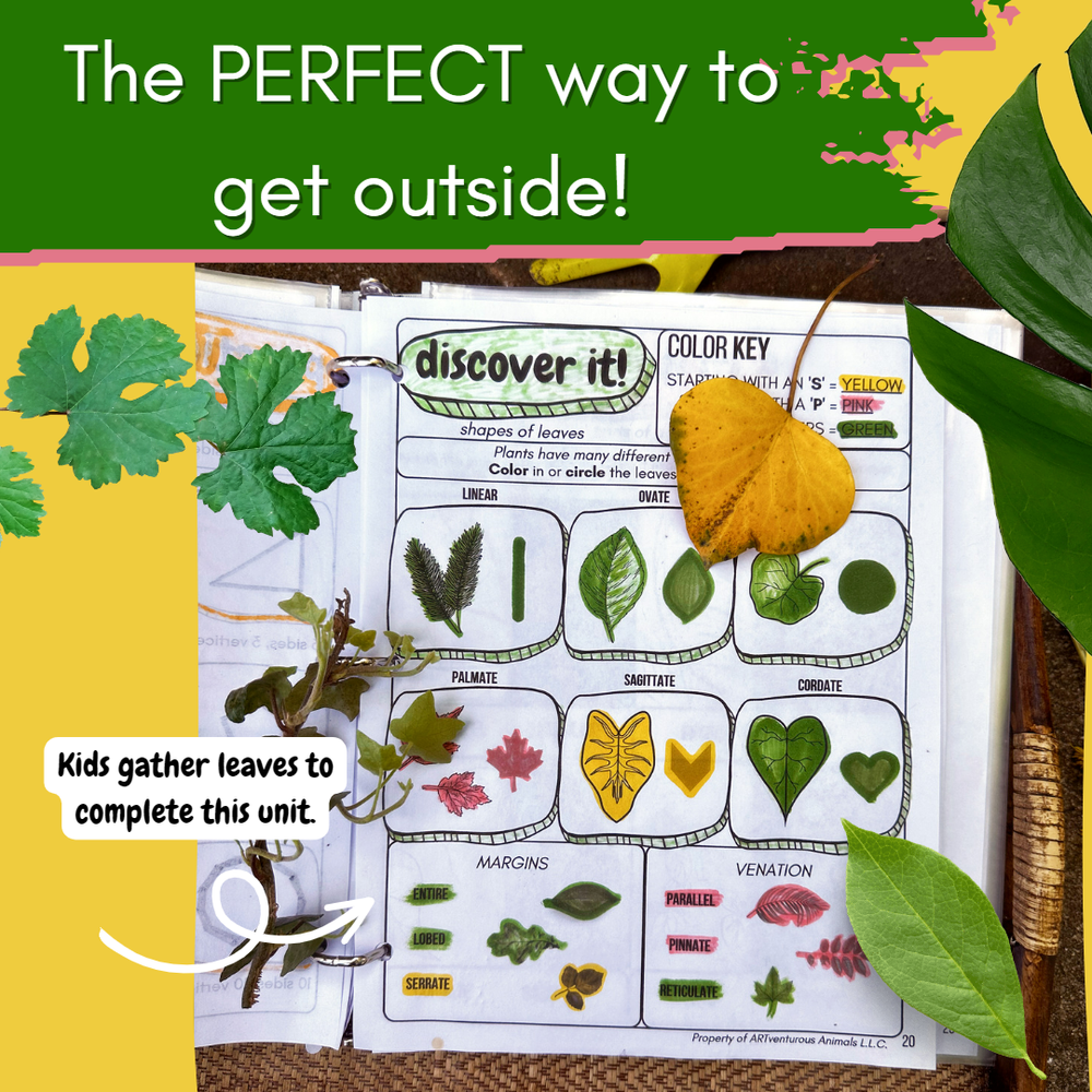 Free Scavenger Hunt with Checklist: Element of Line Outdoor Art ...