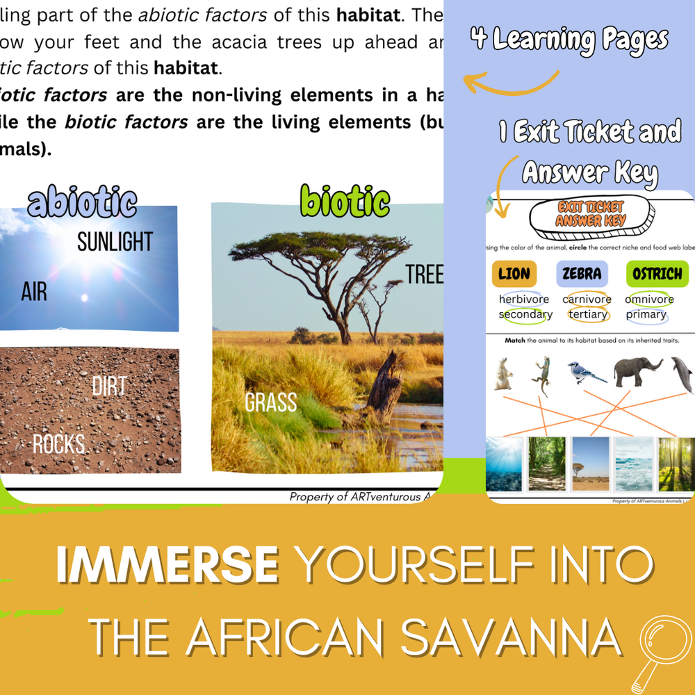 Ecosystem Unit Bundle with Projects, Worksheets, and Charts - Biomes ...