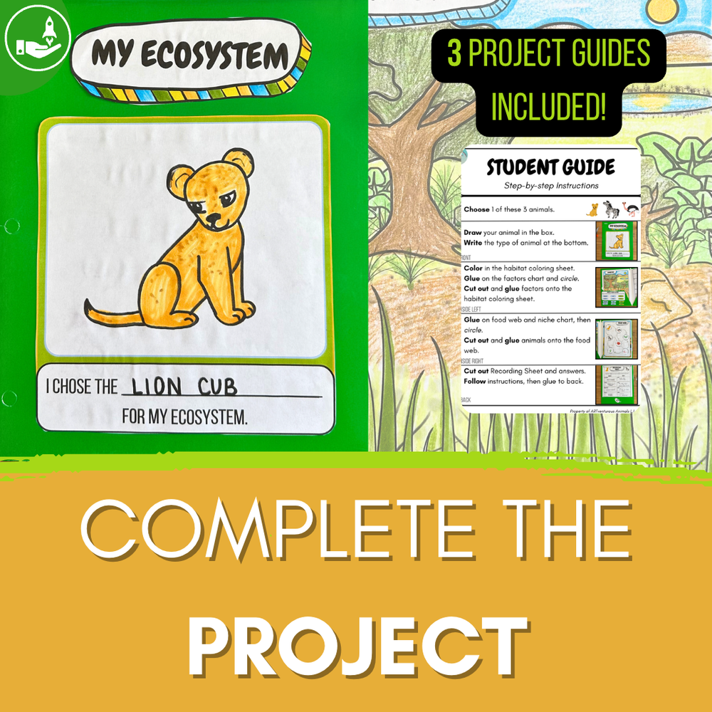 Ecosystem Unit Bundle with Projects, Worksheets, and Charts - Biomes ...