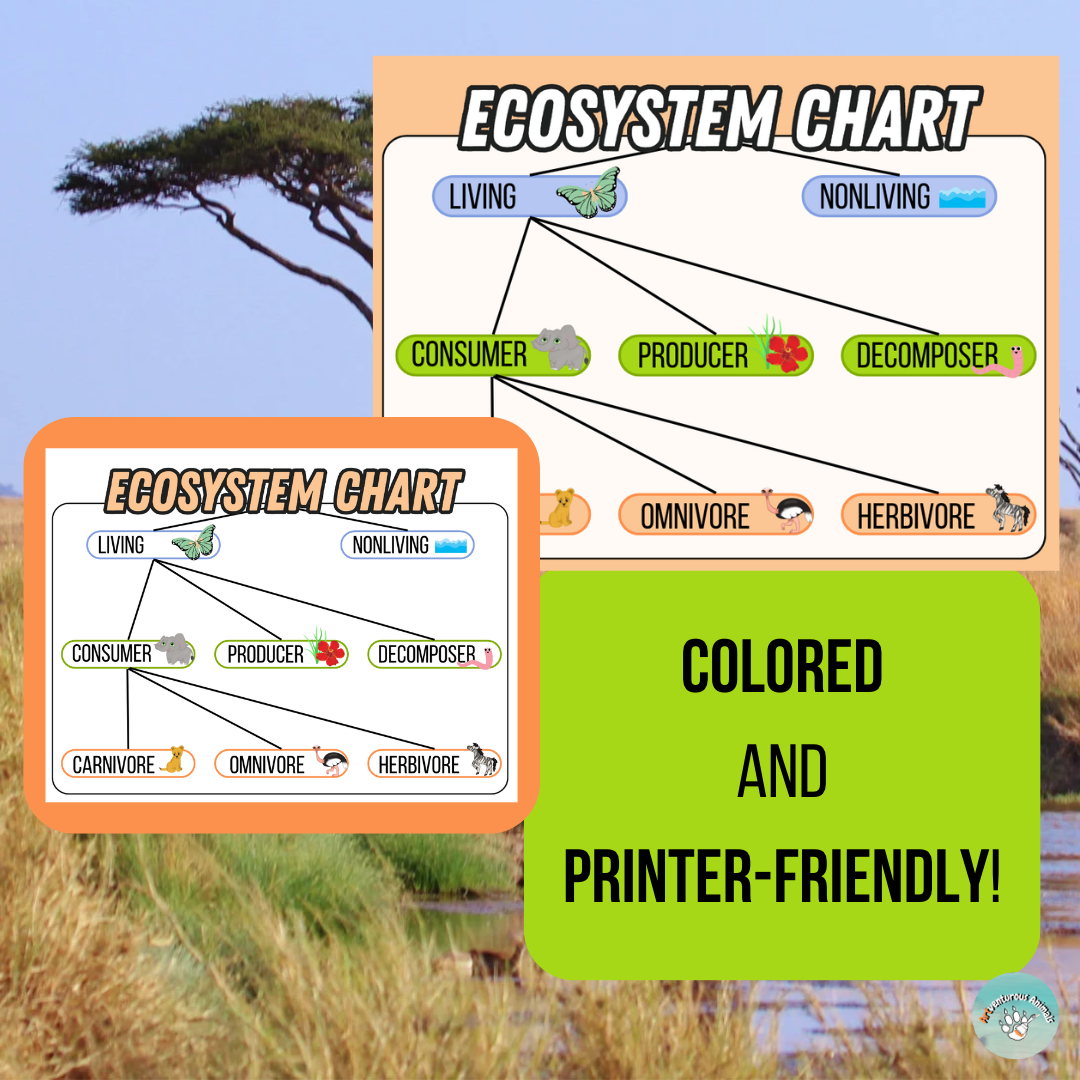 Ecosystem Unit Bundle with Projects, Worksheets, and Charts - Biomes ...