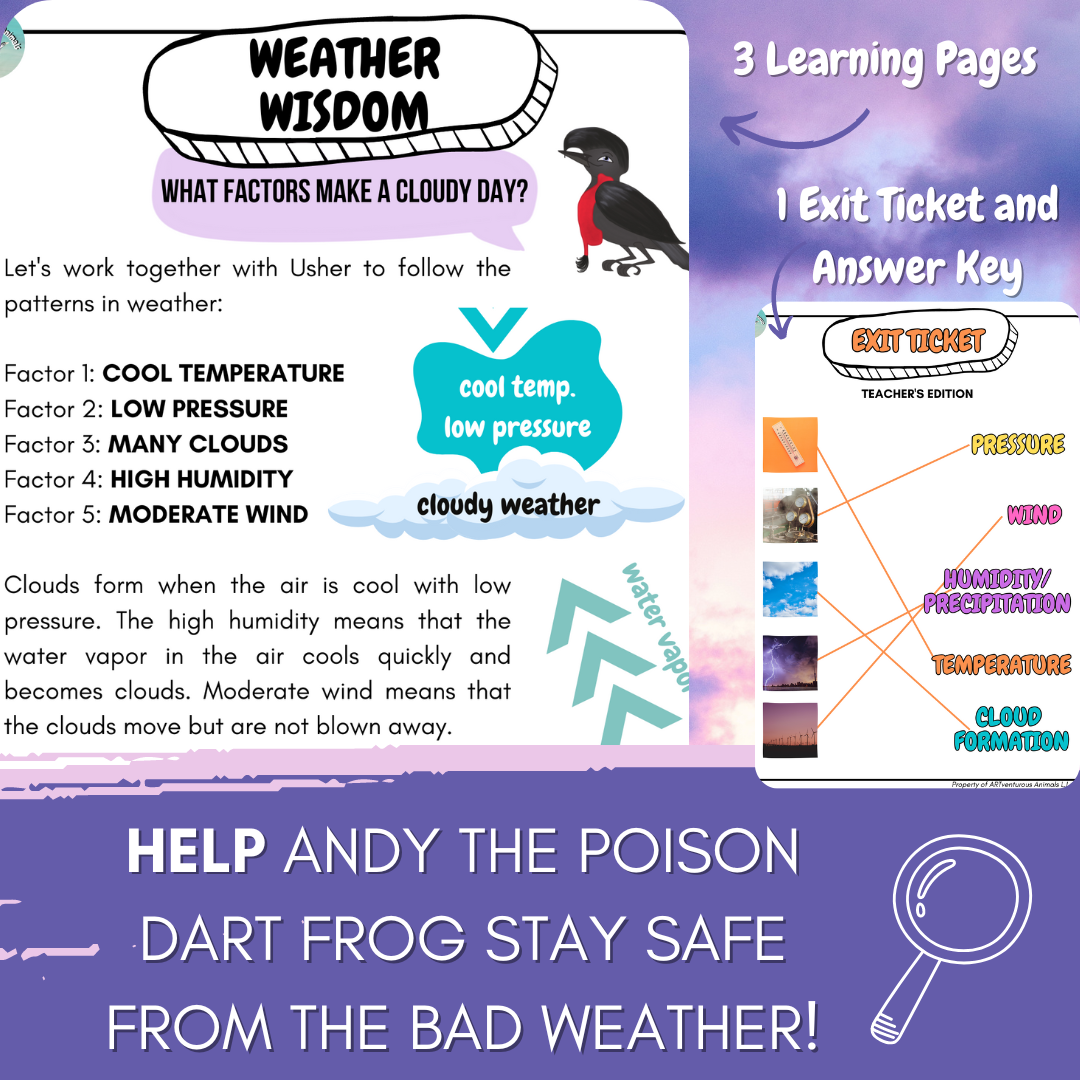 Weather and Climate Unit Study for Kids: Weather Patterns, Climate ...