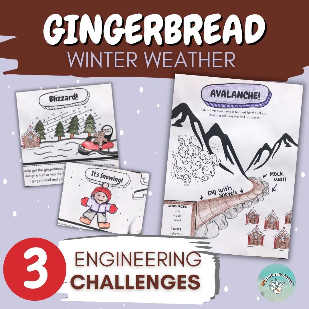 Climate Zones 3rd Grade Project: NGSS Science Activity through STEM ...