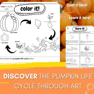 10 Pumpkin Life Cycle Activities: Hands-On Art Ideas for Homeschooling ...