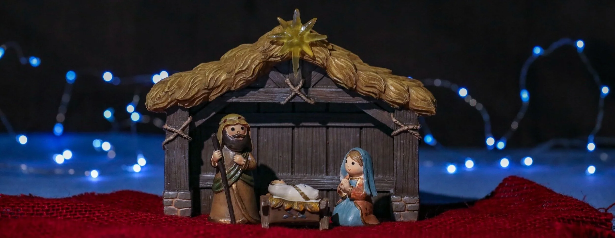 5 Homeschool Unit Studies for December — ARTventurous Animals