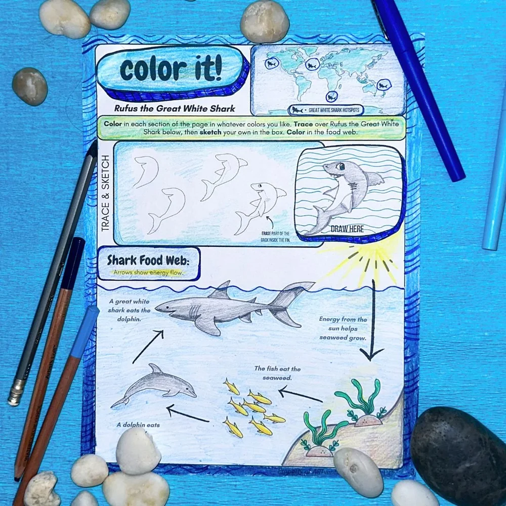 ARTventurous Animals Home-ARTventurous Animals