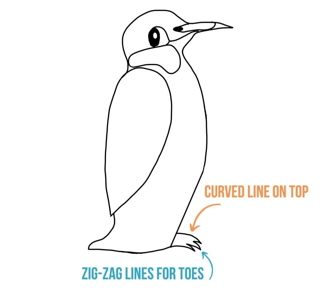 How to Draw a Penguin: Step-by-Step Guide with Free Worksheet ...