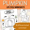 10 Pumpkin Life Cycle Activities: Hands-On Art Ideas for Homeschooling ...