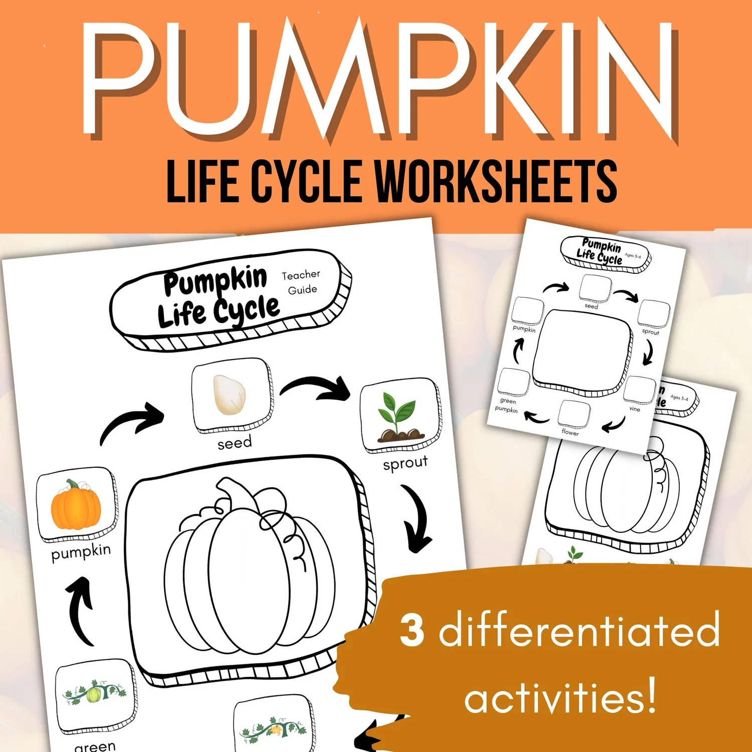 10 Pumpkin Life Cycle Activities: Hands-On Art Ideas for Homeschooling ...
