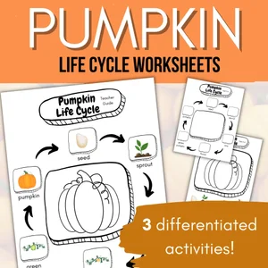 10 Pumpkin Life Cycle Activities: Hands-On Art Ideas for Homeschooling ...