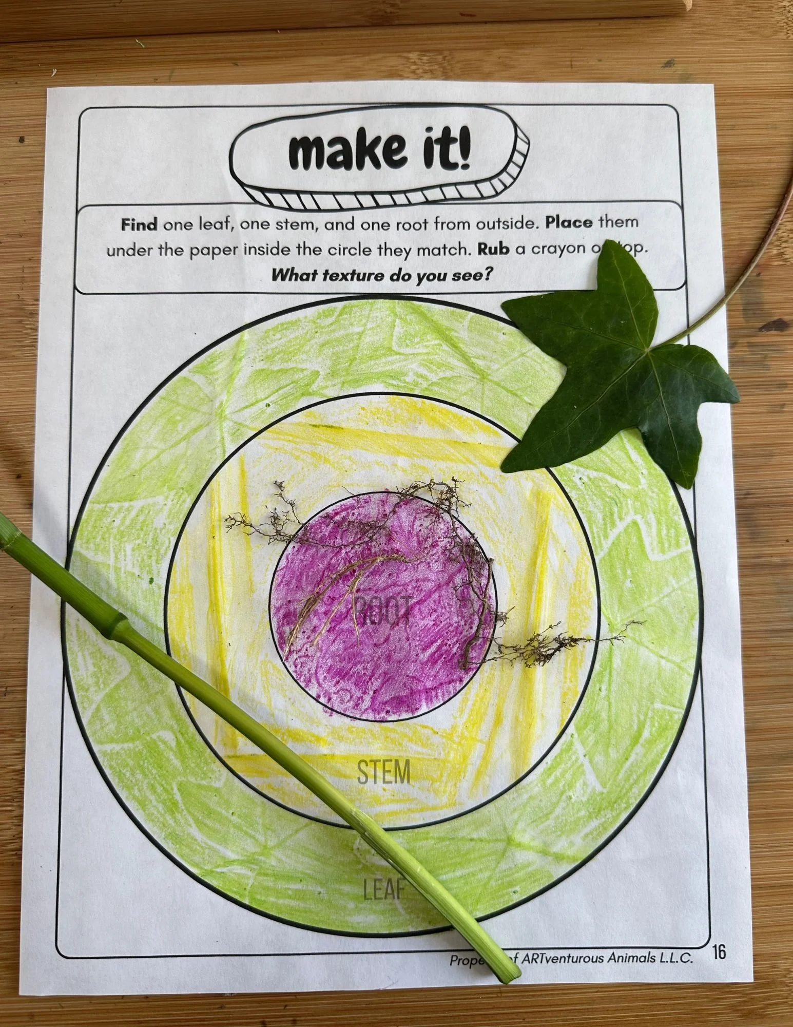 How to Teach Art: The Element of Texture — ARTventurous Animals