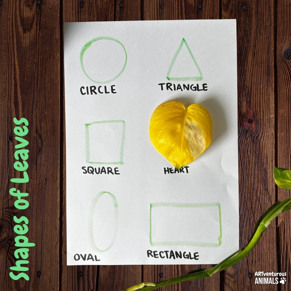 How to Teach Art: the Element of Shape — ARTventurous Animals