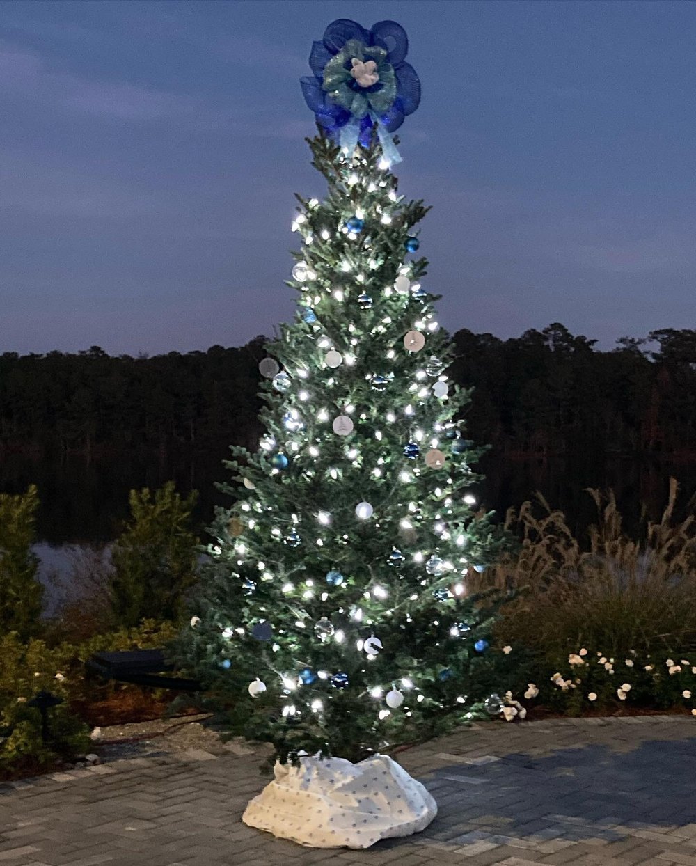 Careers — Louisiana Organ Procurement Agency