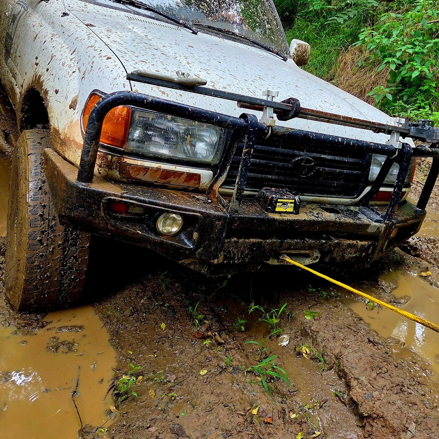 NOVAWINCH MINI MOVER 3 MOTORIZED 12V TRAILER JOCKEY WHEEL — NOVAWINCH ...