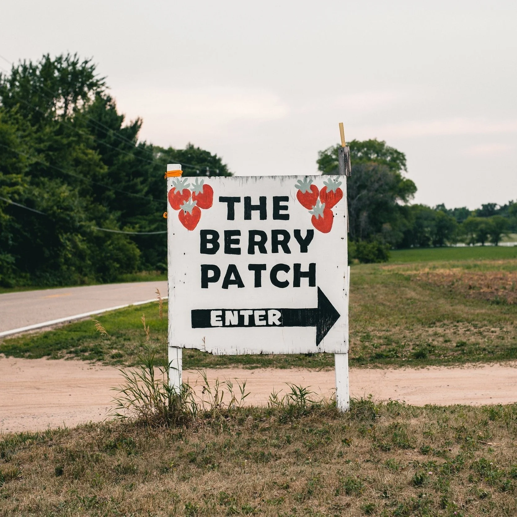 The Berry Patch