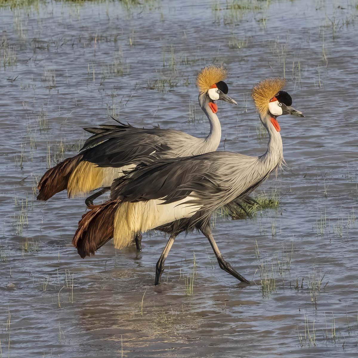 Artists — 2024 Lopez Island Artists' Studio Tour