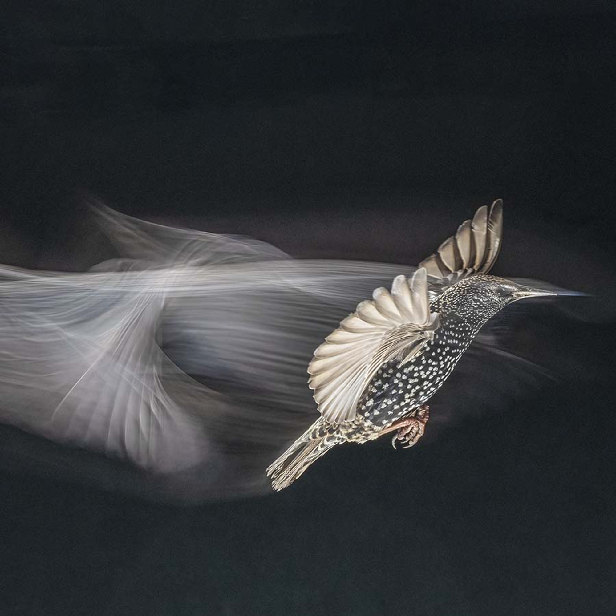 Artists — 2025 Lopez Island Artists' Studio Tour