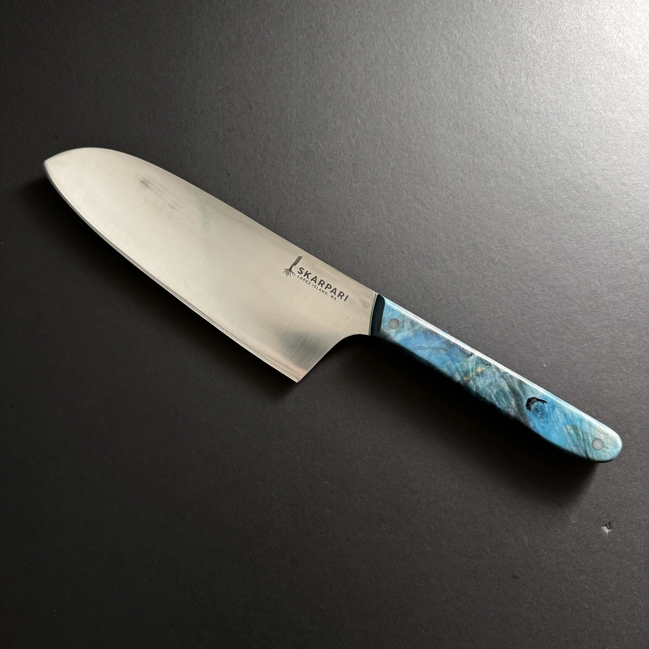 Artists — 2025 Lopez Island Artists' Studio Tour