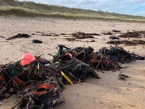 Beach School and coastal learning — WILDER OUTDOOR EDUCATION