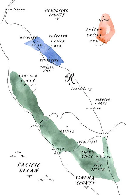 Discover — Reeve Wines