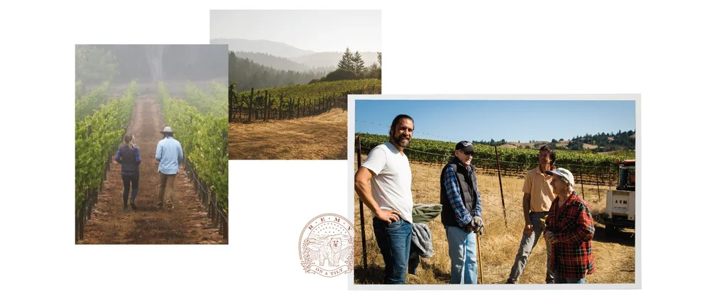 Discover — Reeve Wines