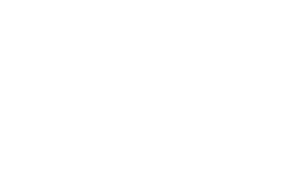 PRIMP