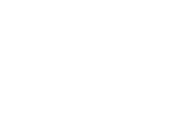 PRIMP