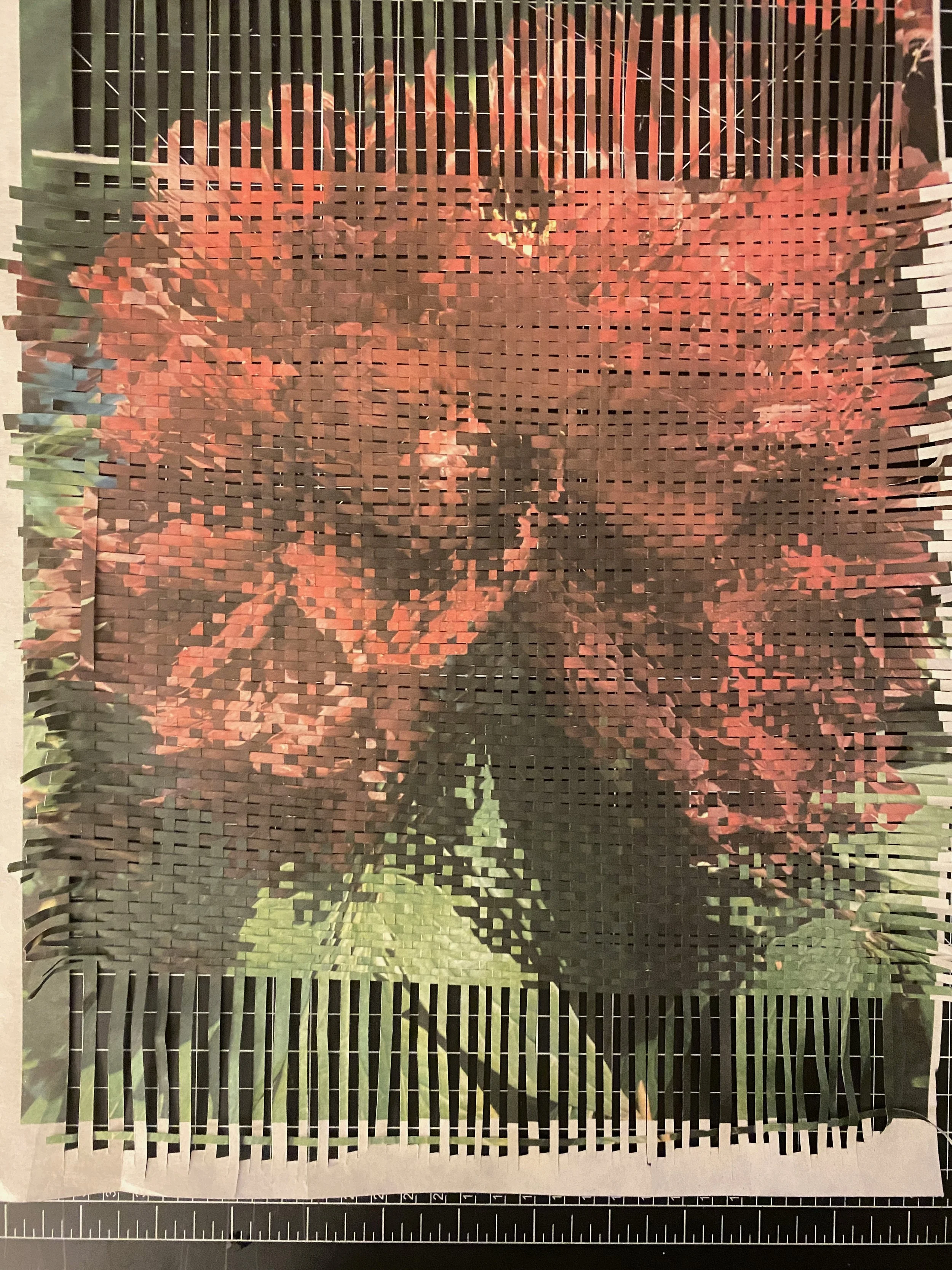 Tree Peony — Christine Mauersberger