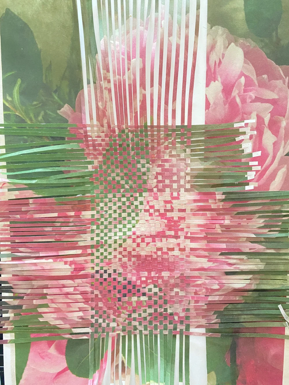 Tib's Peony — Christine Mauersberger