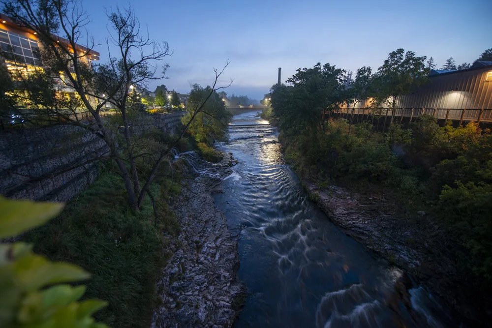 SERVICES — Downtown Fergus