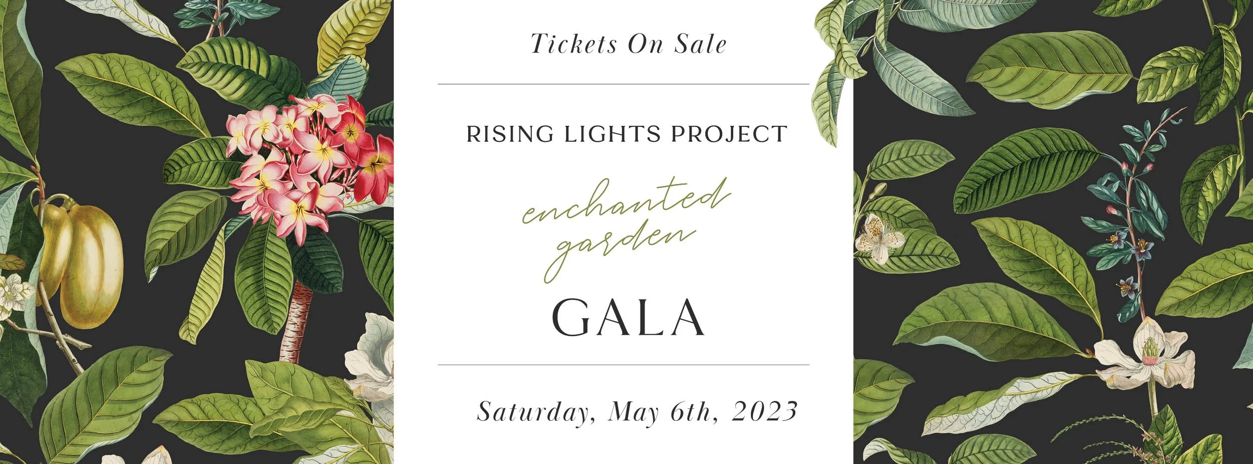 Rising Lights Project