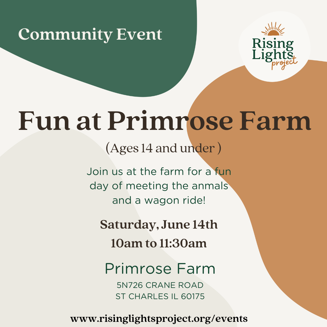 Fun at Primrose Farm (Ages 14 and under) — Rising Lights Project