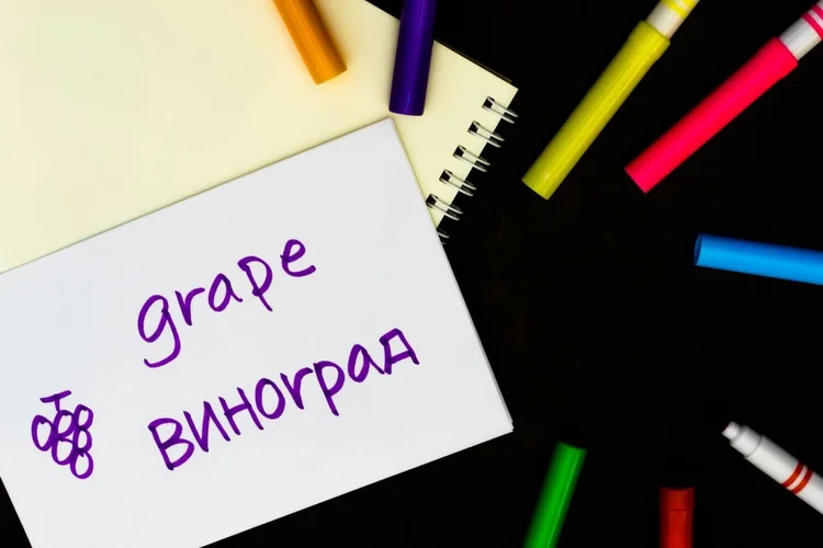 4 Most Popular Language Learning Styles: What Type Of Language Learner ...