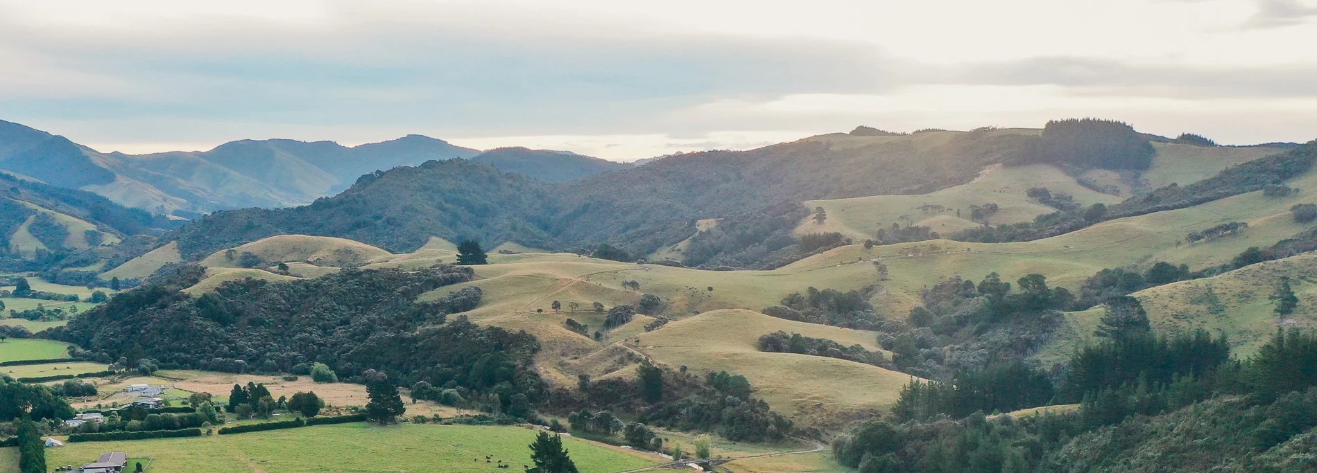 Mangaroa Farms to Purchase Berkett’s Farm in Whitemans Valley ...