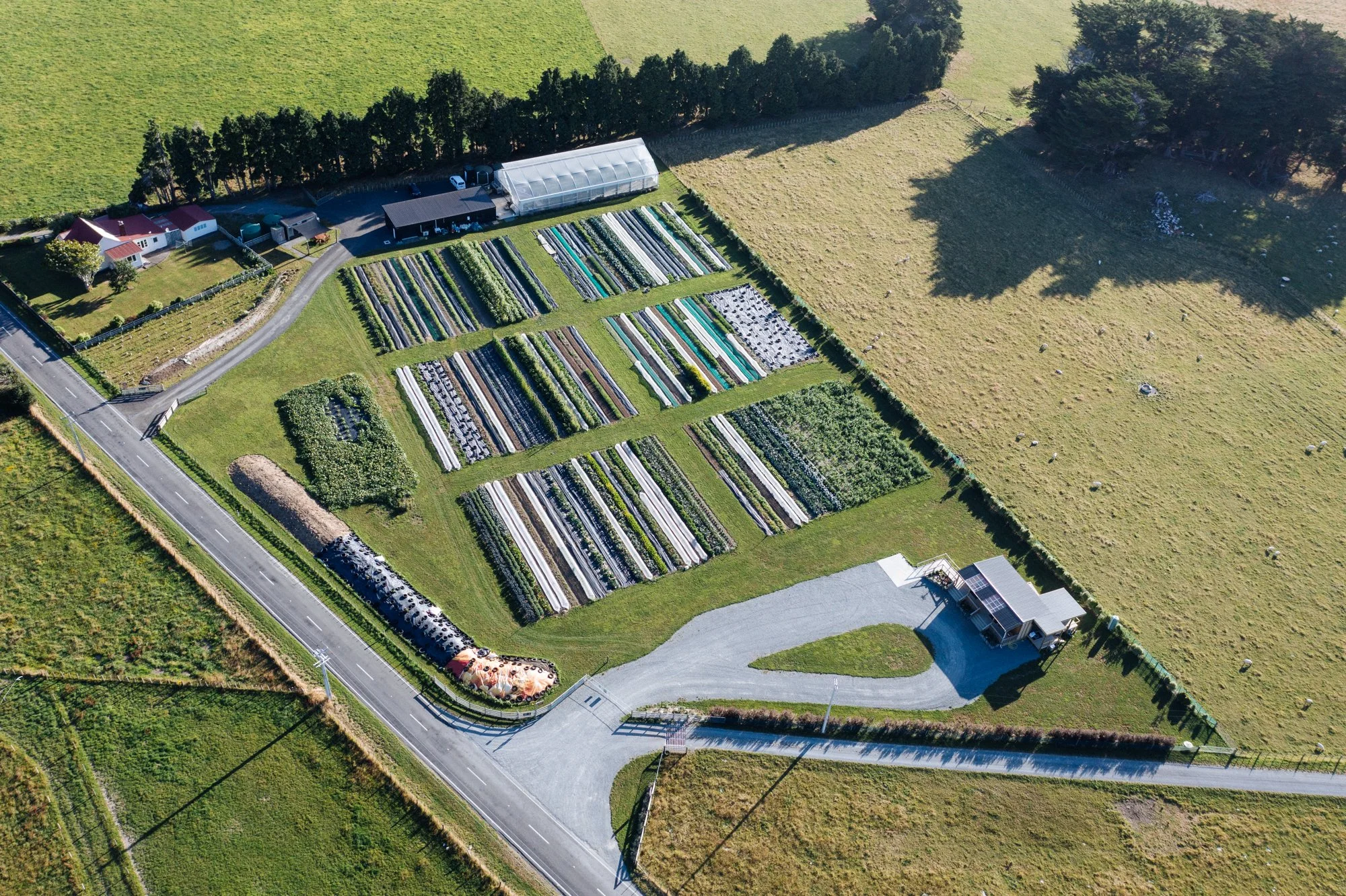 Mangaroa Farms