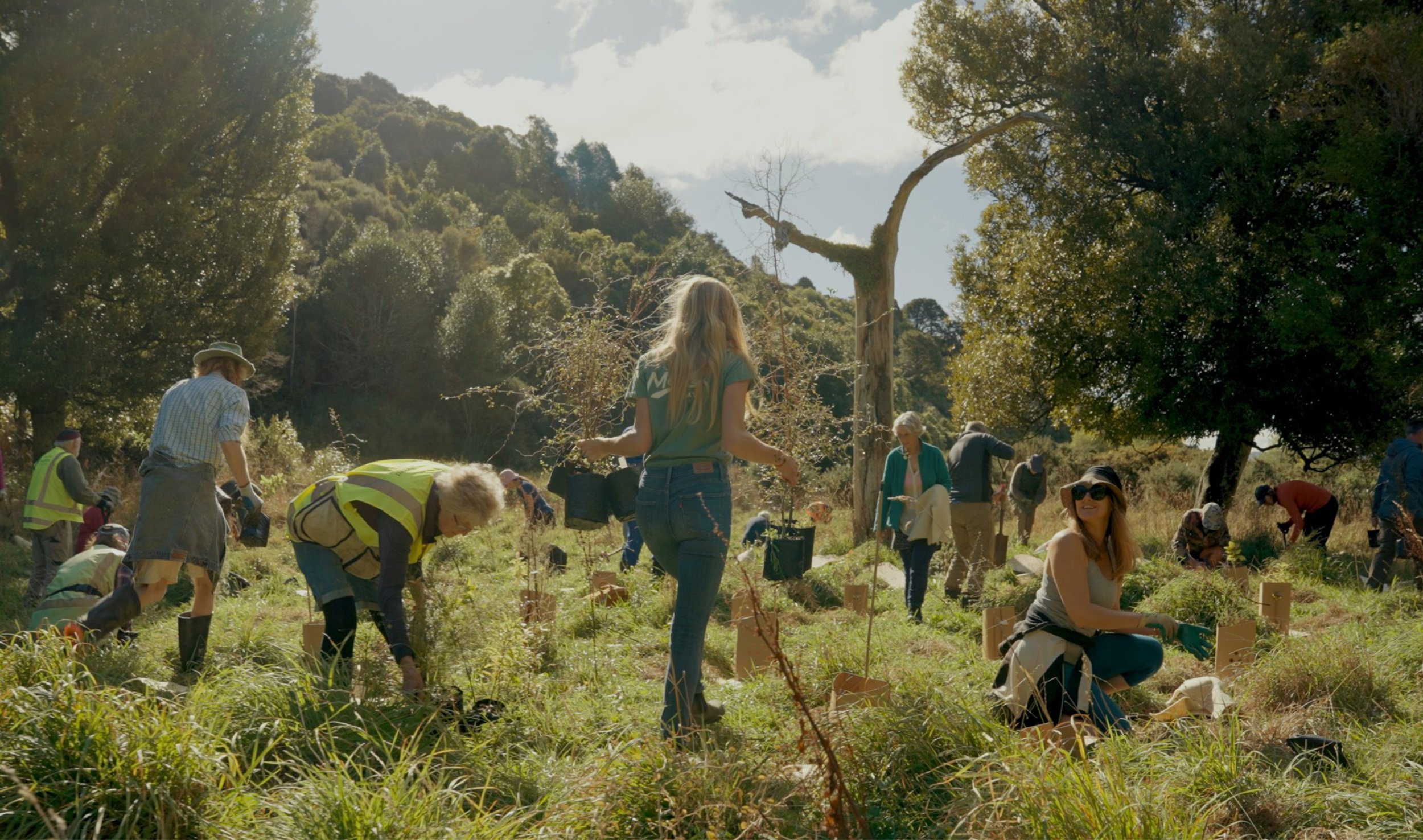 Mangaroa Farms
